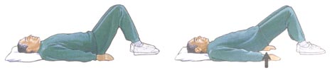 Back Exercises - Strengthening - Picard Chiropractic - Huntington NY